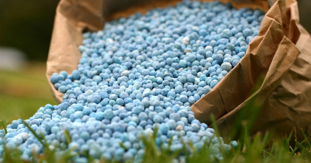 Different Types of Fertilizers for Your Garden | Summit Lawn